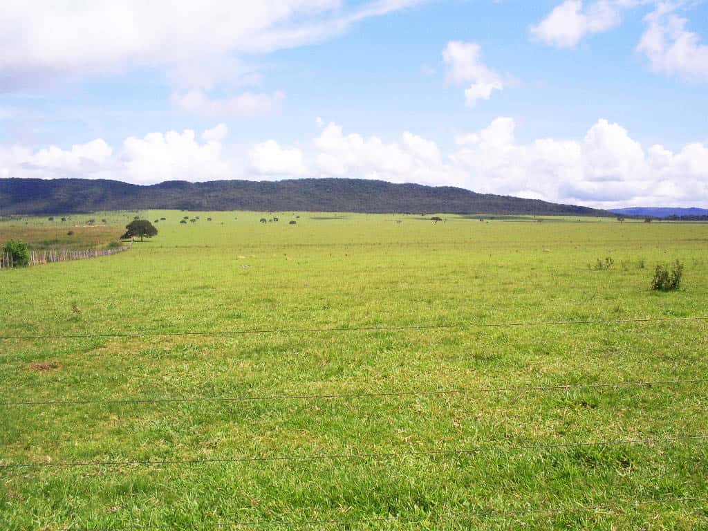 Lote regular ou lote irregular? Veja como conferir antes de comprar - Soma